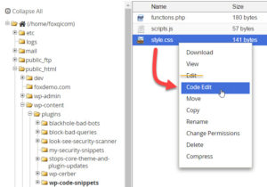 How to Add Code Snippets to Your WordPress Website | CueFox